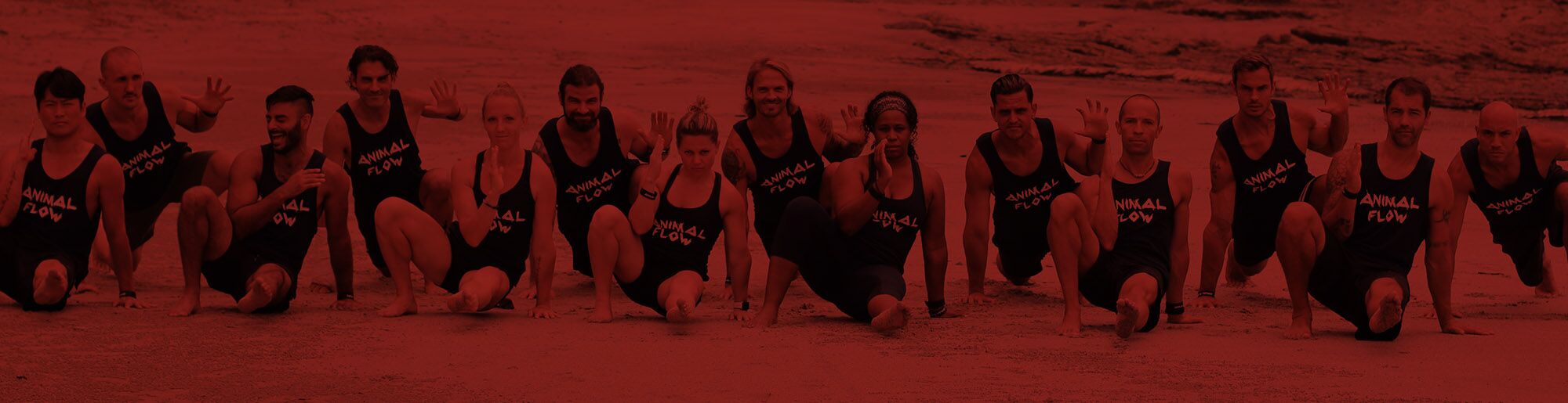 Meet Our Team - Animal Flow