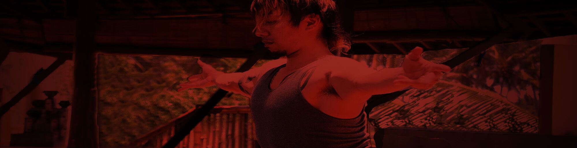 Movement Matrix - Animal Flow