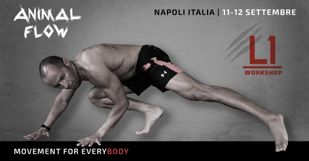 Animal Flow Workshops