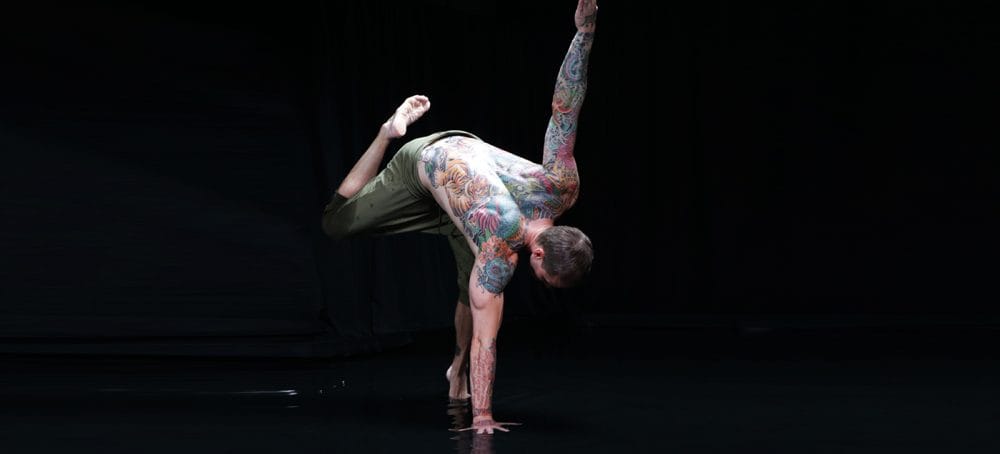 Understanding the 6 Components of Animal Flow