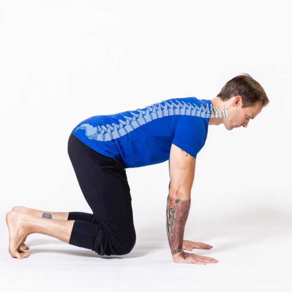 Adapting to Low Back Pain (Part 1)