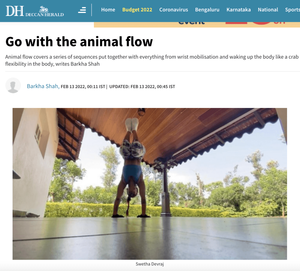 International Press Archives - Animal Flow
