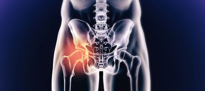 Daily Movements for Healthy Hips