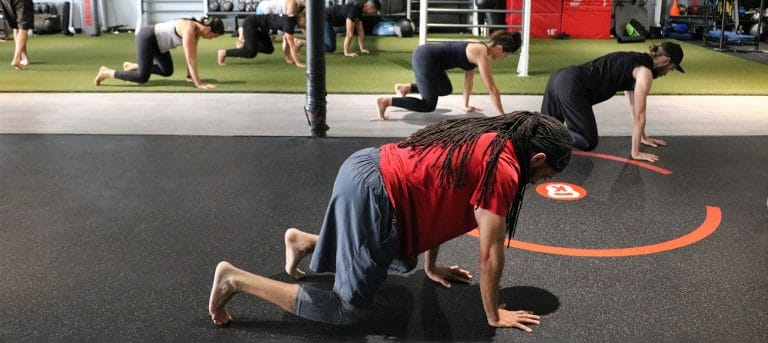 The Benefits of Animal Locomotion