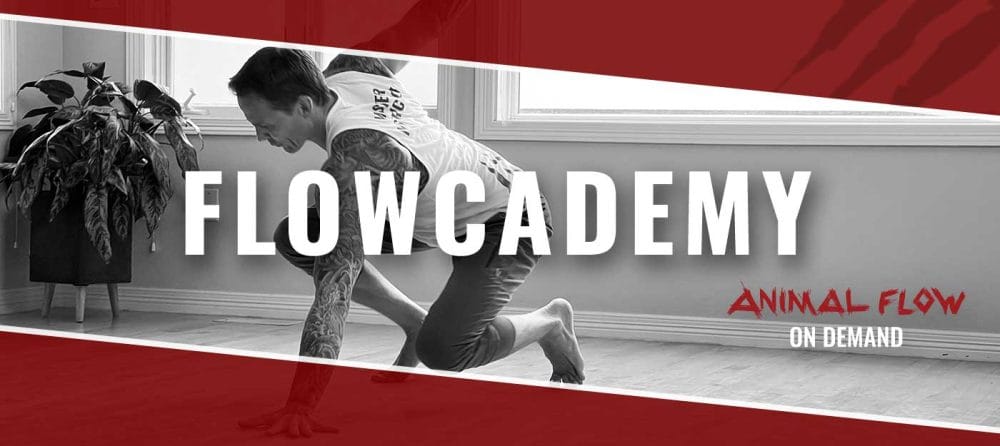 Introducing: Flowcademy