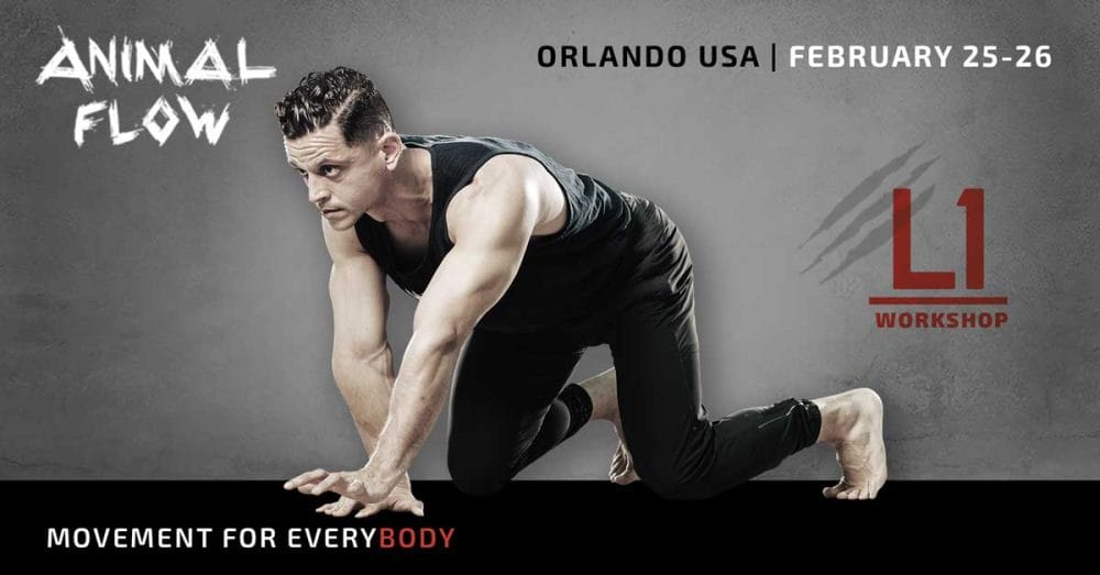 Upcoming Events – Animal Flow