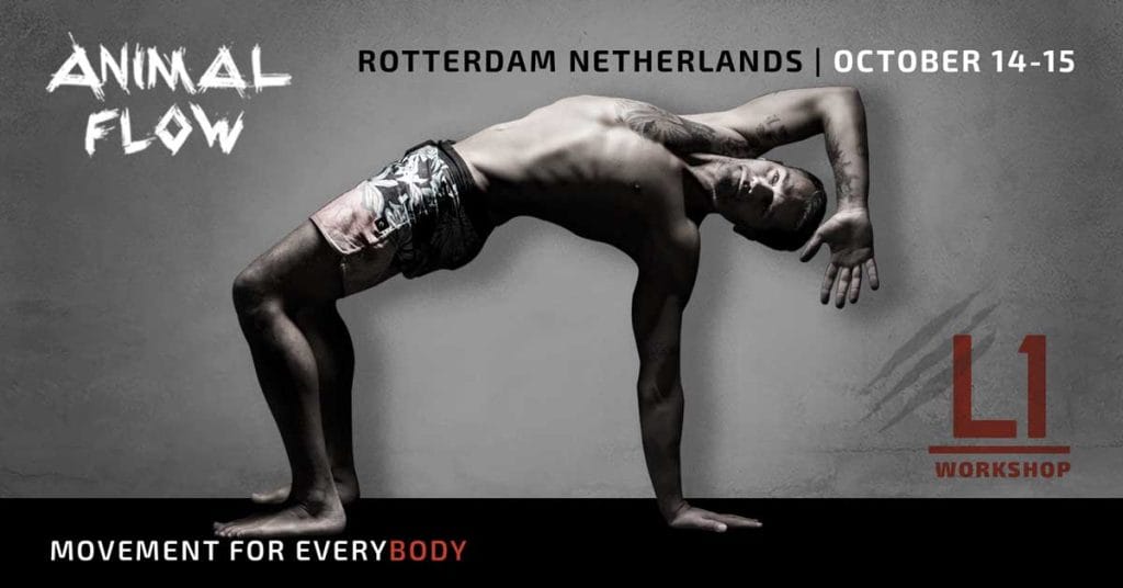 Upcoming Events › Level 1 Instructor Certification › – Page 3 – Animal Flow