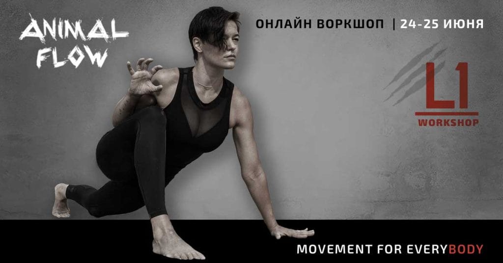 Upcoming Events – Animal Flow