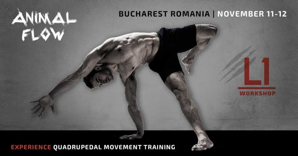 Animal Flow Level 1 Bucharest (Nov) - Animal Flow