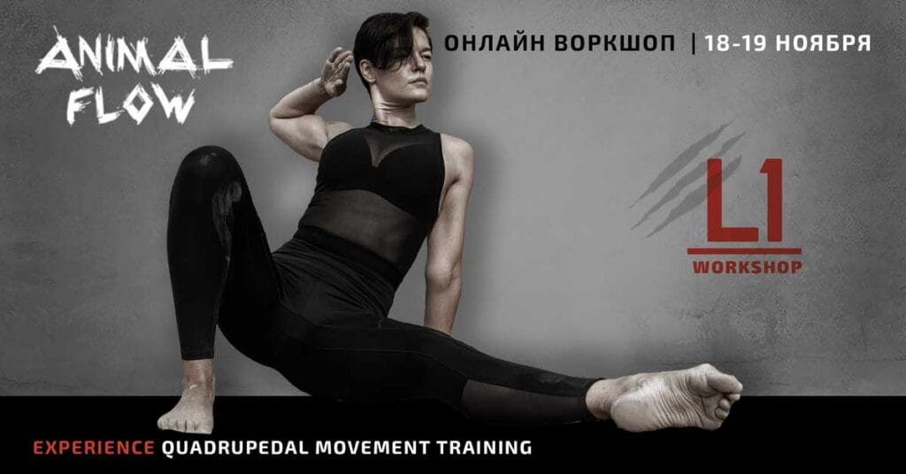 Animal Flow Level 1 Online Russian Language / Россия - Animal Flow