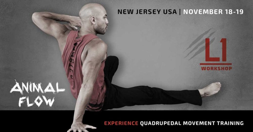 Animal Flow Level 1 New Jersey (Nov) - Animal Flow