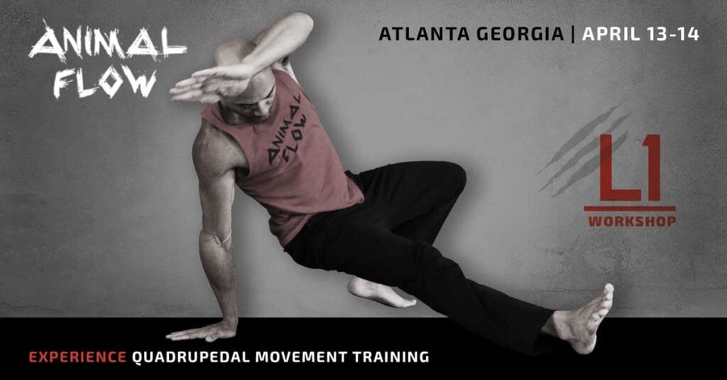 Animal Flow Level 1 Atlanta (Apr) - Animal Flow
