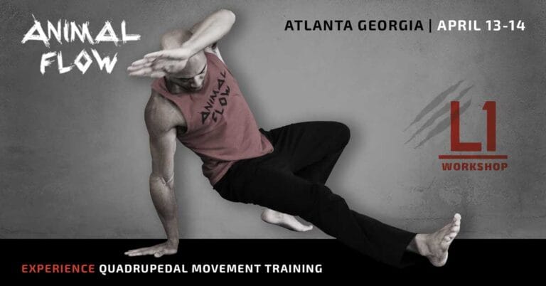 Animal Flow Level 1 Atlanta (Apr) - Animal Flow