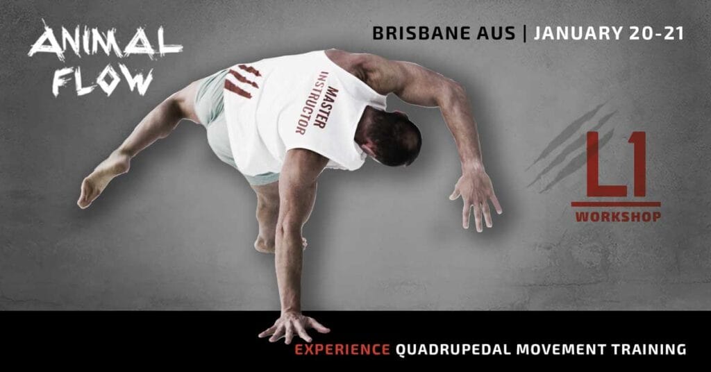 Animal Flow Level 1 Brisbane (Jan) - Animal Flow