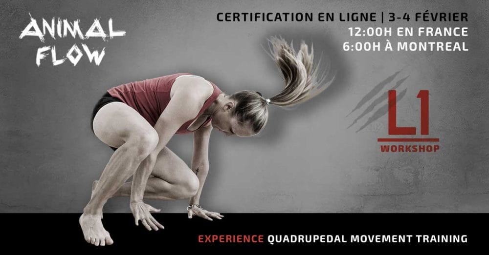 Events from November 9 – October 12 › Europe › – Animal Flow