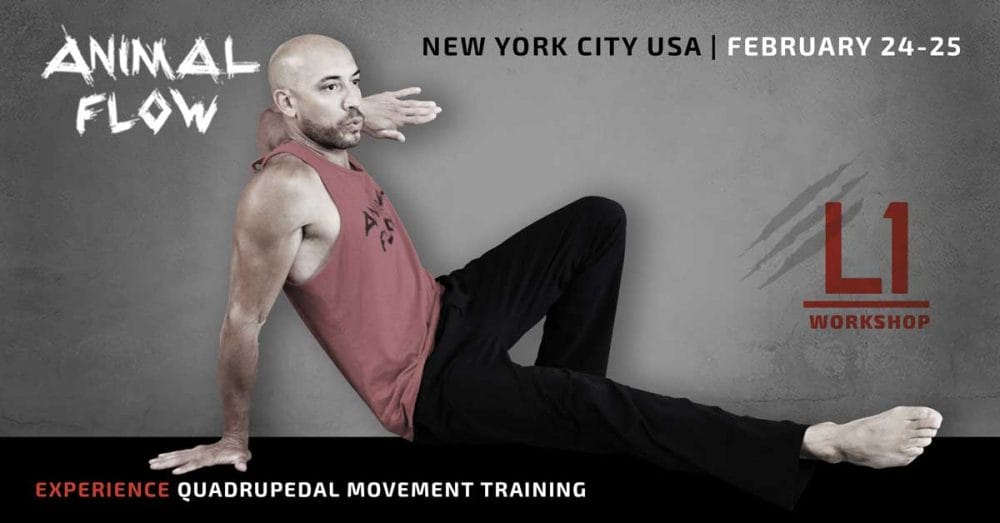Animal Flow Level 1 NYC (Feb) - Animal Flow