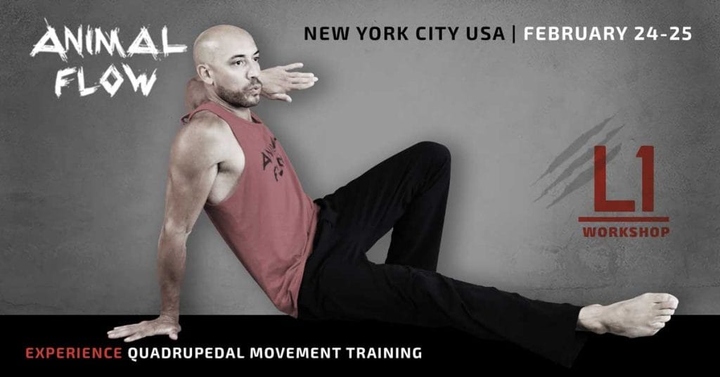 Animal Flow Level 1 NYC (Feb) - Animal Flow
