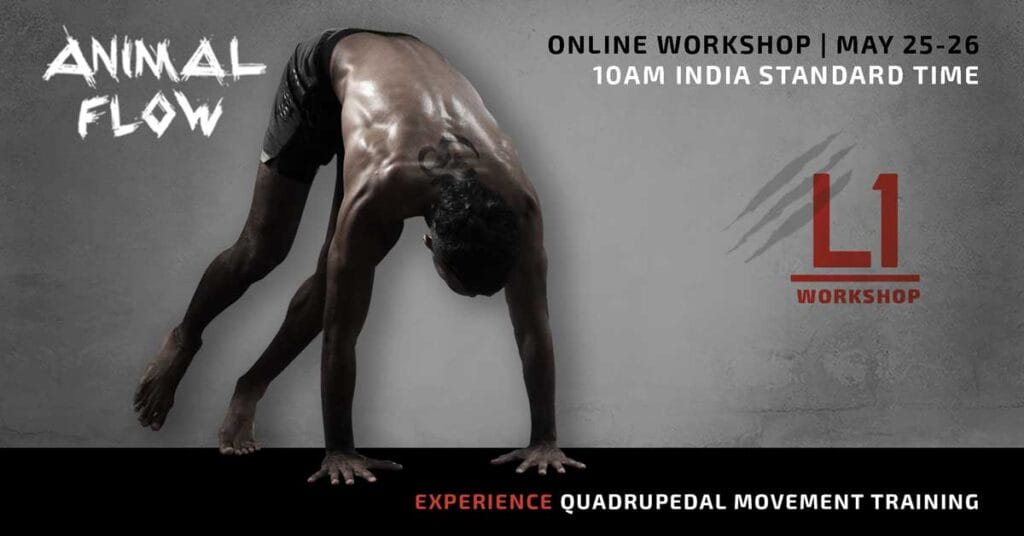 Events from July 13 – April 20 › Online › – Animal Flow