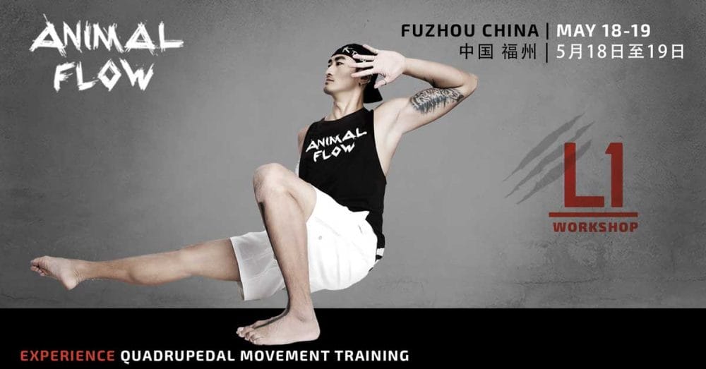 Animal Flow Level 1 Fuzhou / 福州 (May) - Animal Flow