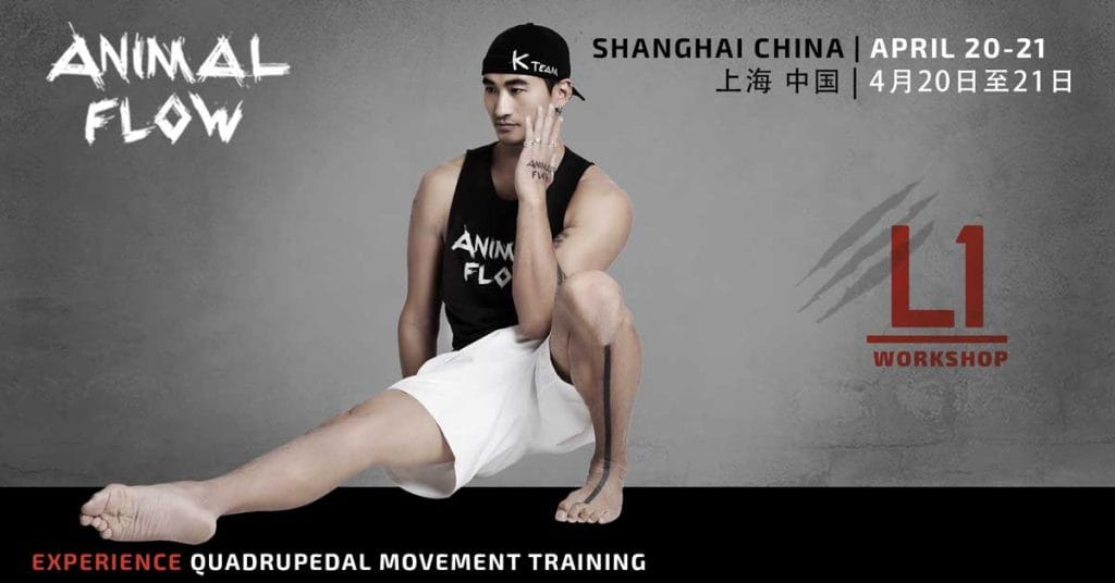 Animal Flow Level 1 Shanghai / 上海 (Apr) - Animal Flow