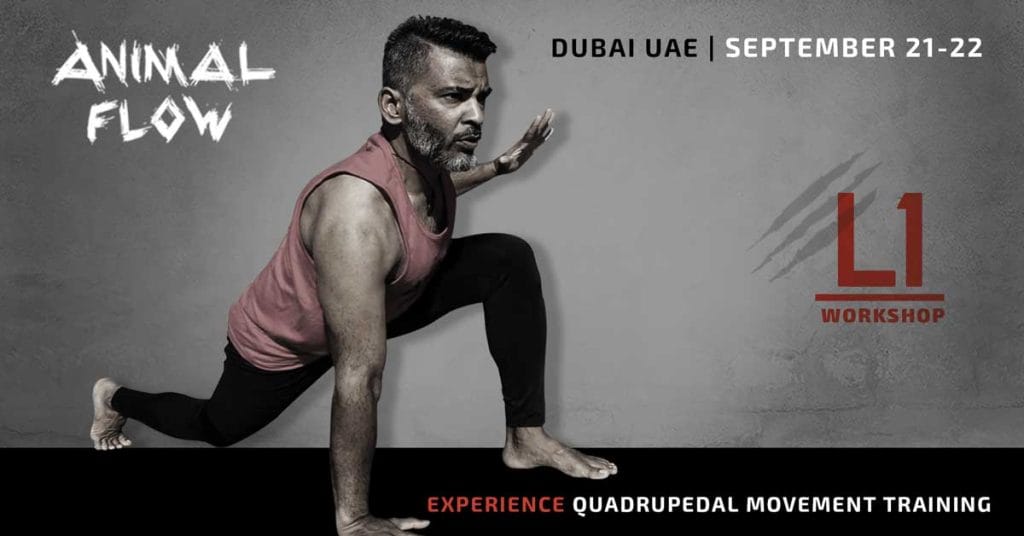 Animal Flow Level 1 Dubai (Sep) - Animal Flow