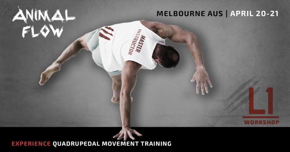 Animal Flow Level 1 Melbourne (Apr) - Animal Flow
