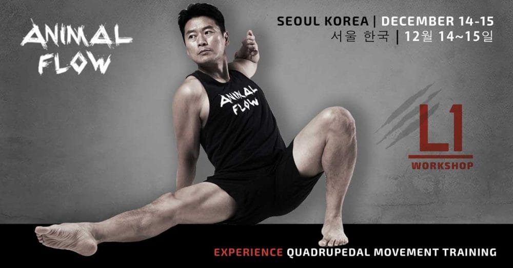 Animal Flow Level 1 Seoul (Dec) - Animal Flow