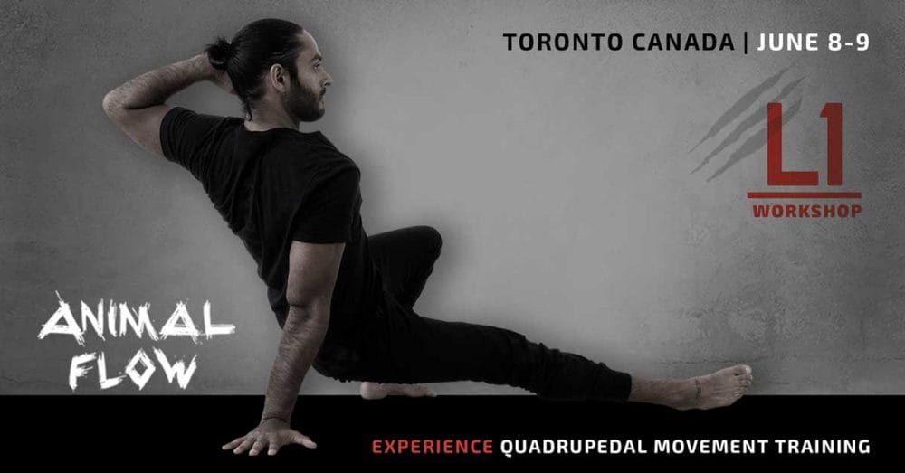 Animal Flow Level 1 Toronto (Jun) - Animal Flow