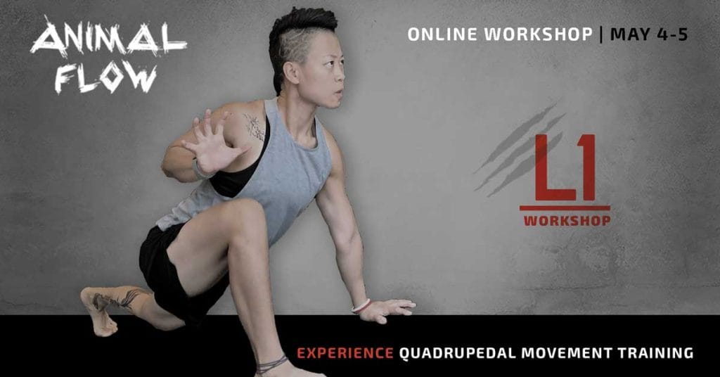Animal Flow Level 1 ONLINE WORKSHOP (Asia Time Zone) - Animal Flow