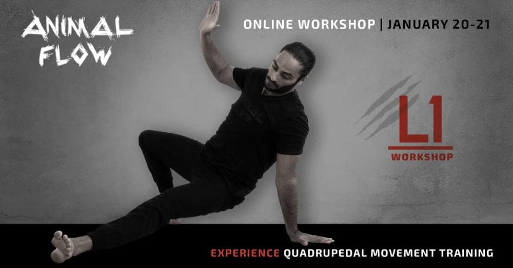 Events from November 9 – March 9 › Online › – Animal Flow