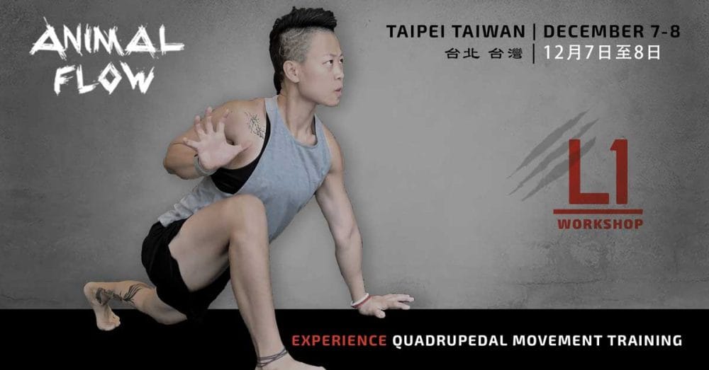 Animal Flow Level 1 Taipei / 台北 (Dec) - Animal Flow