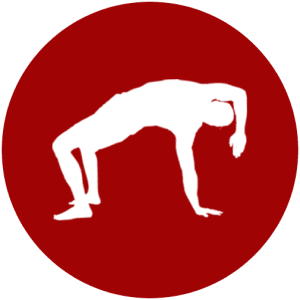 What Is Animal Flow - Animal Flow