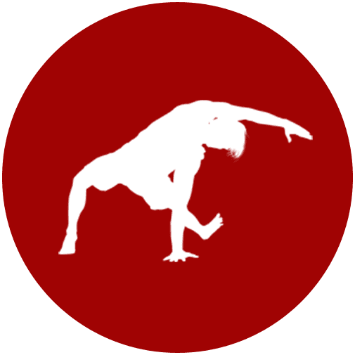 What Is Animal Flow - Animal Flow